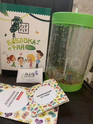 Бабочкарий fly-fly без куколок