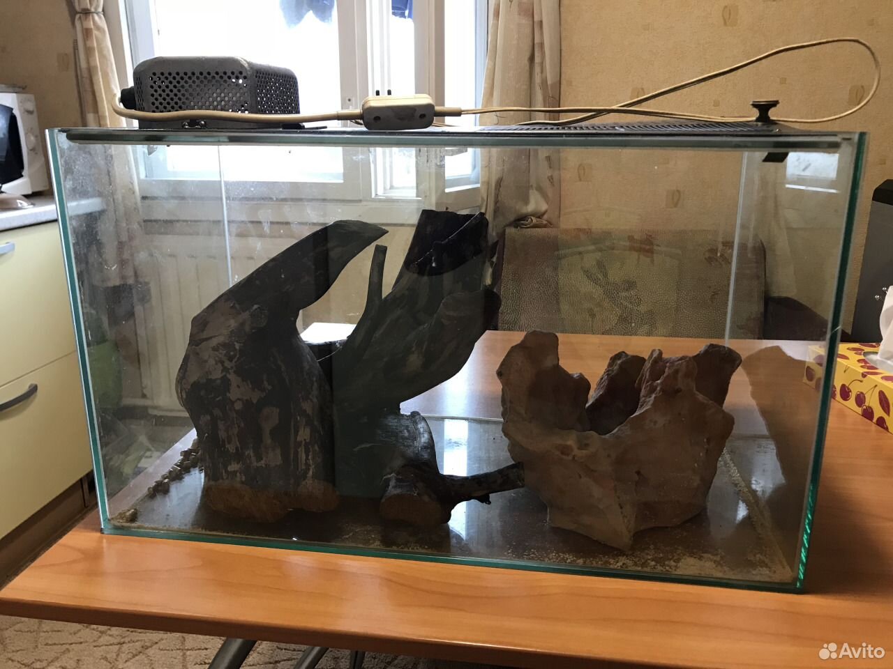 Террариум + коряга + бассейн